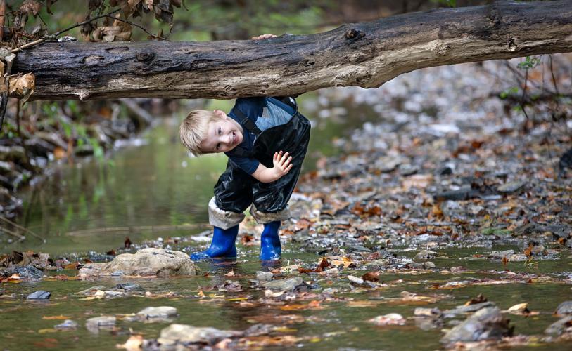Gift of the outdoors: Camp allows children to be immersed in nature ...