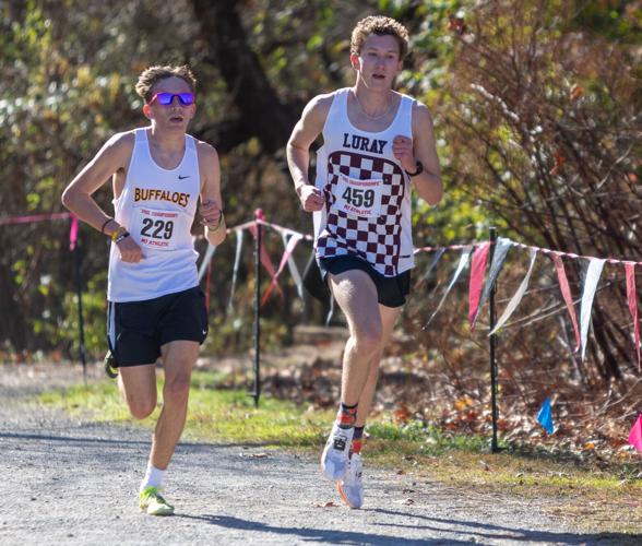 Fort Defiance's Lane, Luray's Johnson Shine In State Meet | Fort ...
