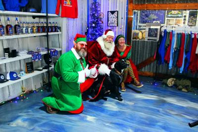 Santa Paws comes to town: Dog have a paw-sitivity fun time at ...