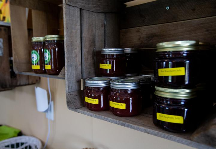 Oh Kale Yeah: Cross Keys Farm Opens For The Season | News | dnronline.com