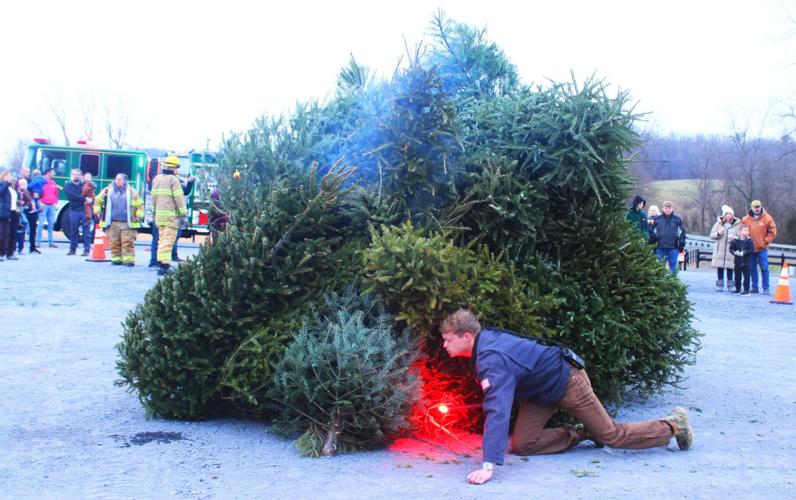 Weyers Cave gets all fired up as Christmas trees go up in flames ...
