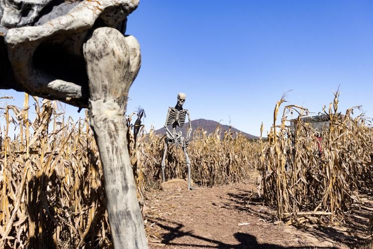 The 'Lighter Side' Of The Valley's Most Prominent Halloween Attraction ...