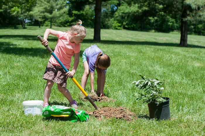 Lacey Springs Elemntary Creates Outdoor Classroom | News | dnronline.com