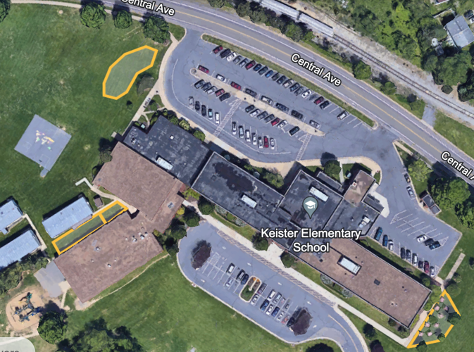 $30K Grant A Forest Of Opportunities At Keister ES | News | dnronline.com