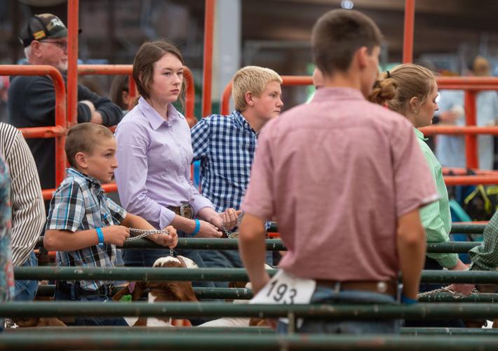 Rockingham County Fair: Tuesday | Photo | dnronline.com