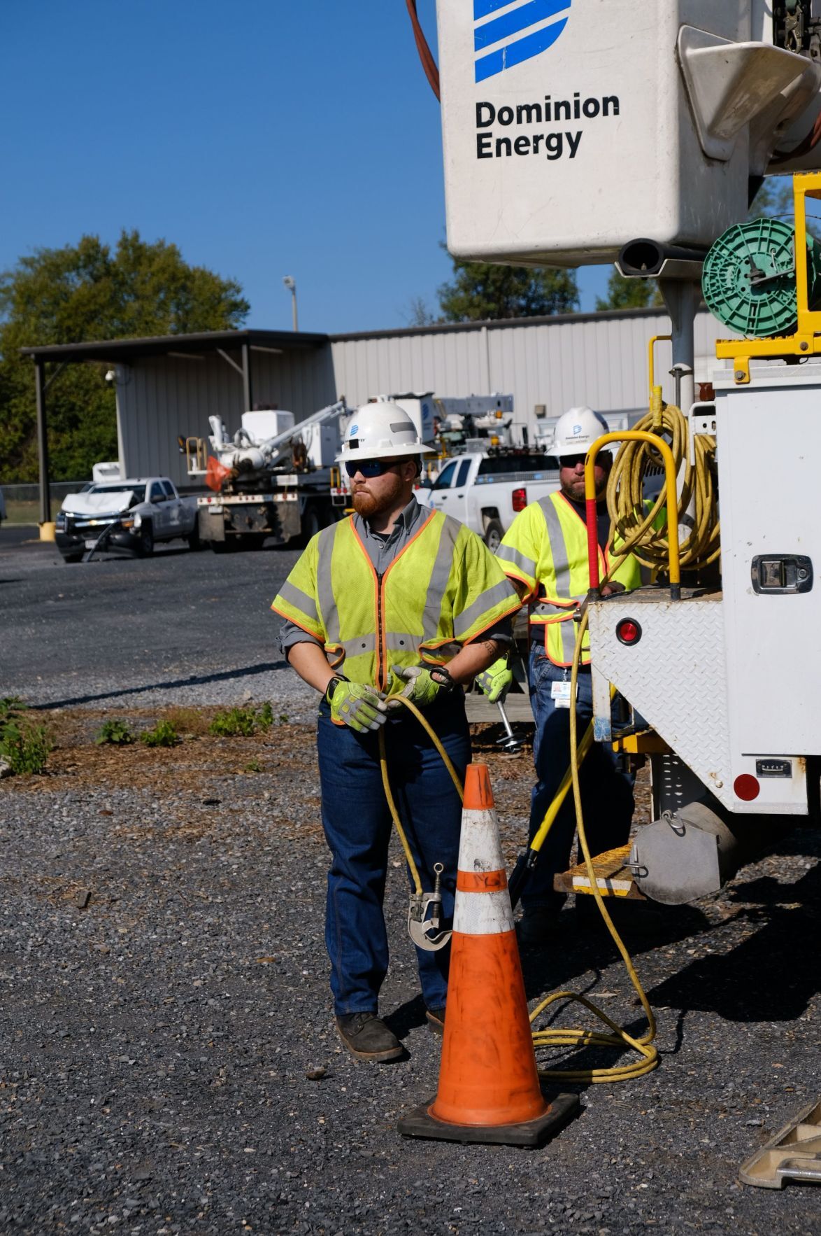 Electricity Pulses Through Generations Of Pultz Veins | Dnronline ...