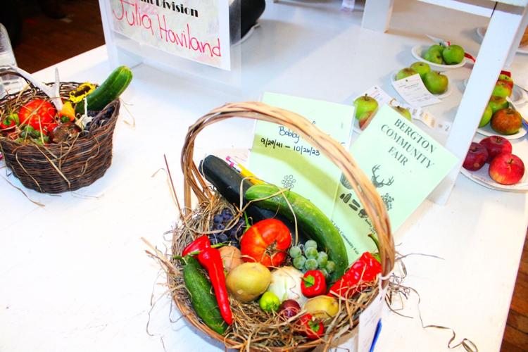 Annual Bergton Fair Attracts Thousands For Family Fun | Dnronline ...