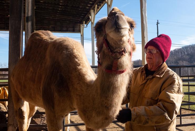 Church Members And Community Prepare For Live Nativity | Dnronline ...