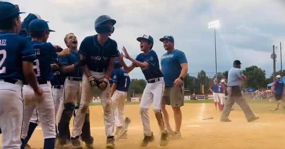 Area Little League Programs Enjoying Strong Summers | Youth | dnronline.com