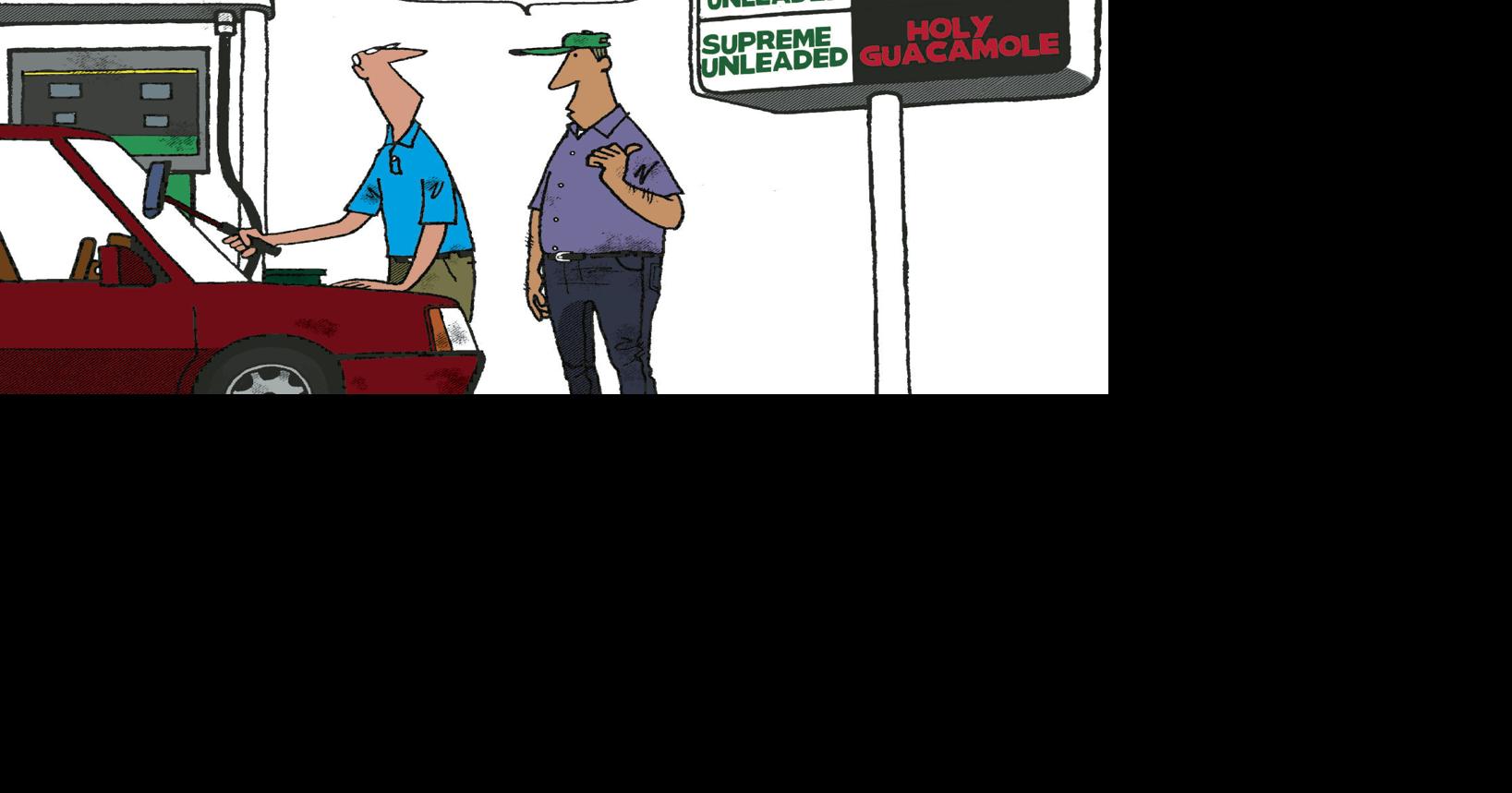 Friday's Cartoon | Cartoon | dnronline.com