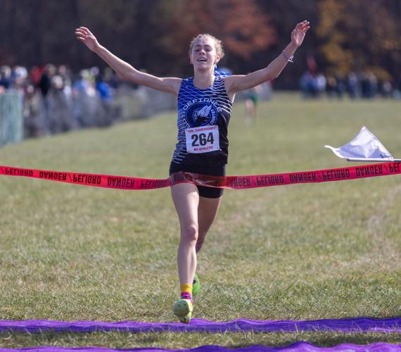 Fort Defiance's Lane, Luray's Johnson Shine In State Meet | Fort ...