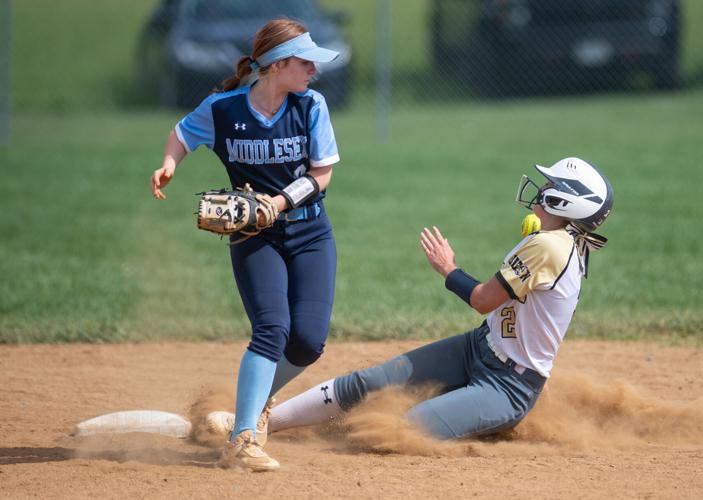 Alger, Talley Guide Bison To Another State Semifinal Appearance ...