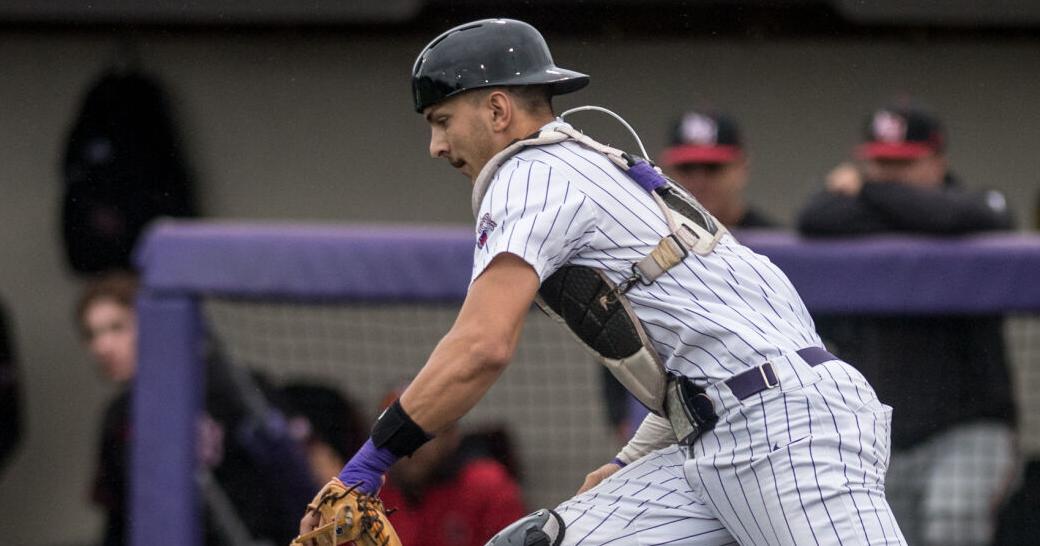 Smiles Return To Baseball Diamond After JMU's Regional Win | James ...