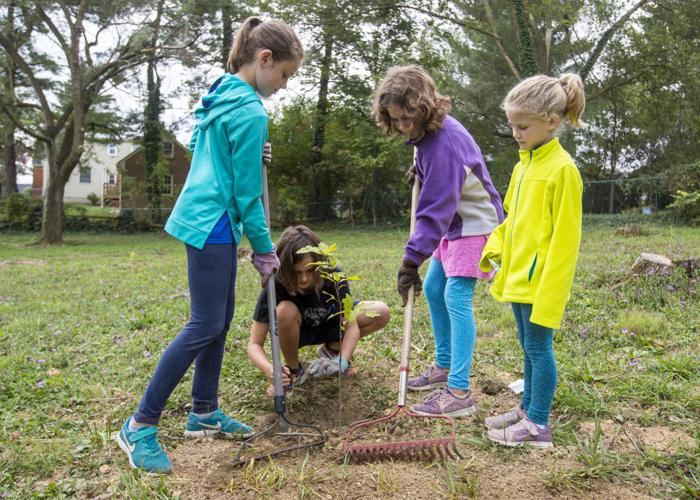 Girl Scouts Plant Trees At Westover Park | Dnronline | dnronline.com