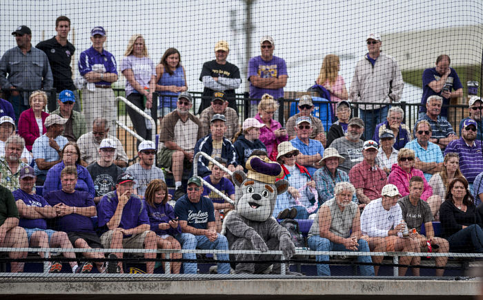 JMU Softball’s Rise Draws Old, New Fans | News | dnronline.com