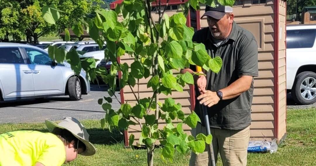 Broadway Marks Twelfth Year As Tree City USA | Dnronline | dnronline.com