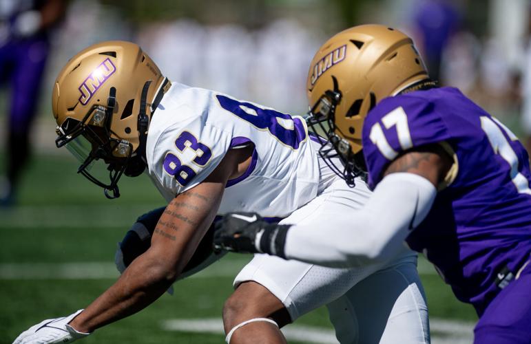 Williams Poised To Impact JMU Receiver Room | James Madison University | dnronline.com