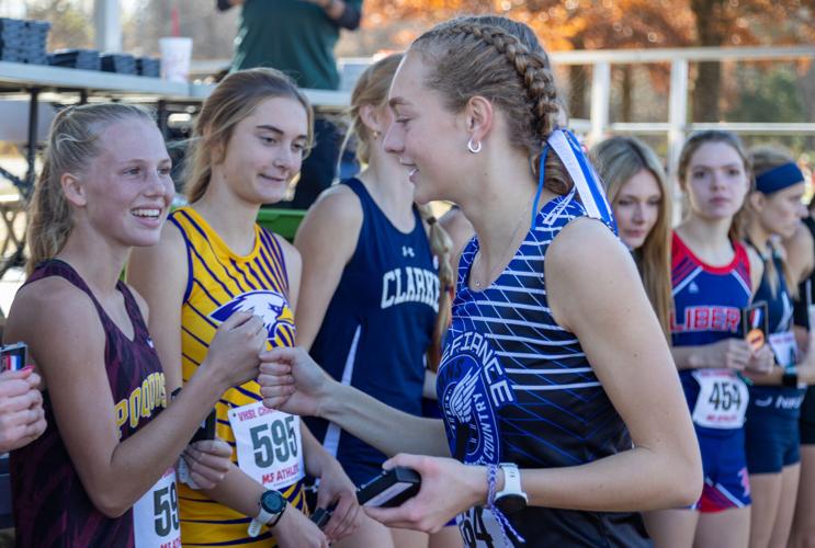 Fort Defiance's Lane, Luray's Johnson Shine In State Meet | Fort ...