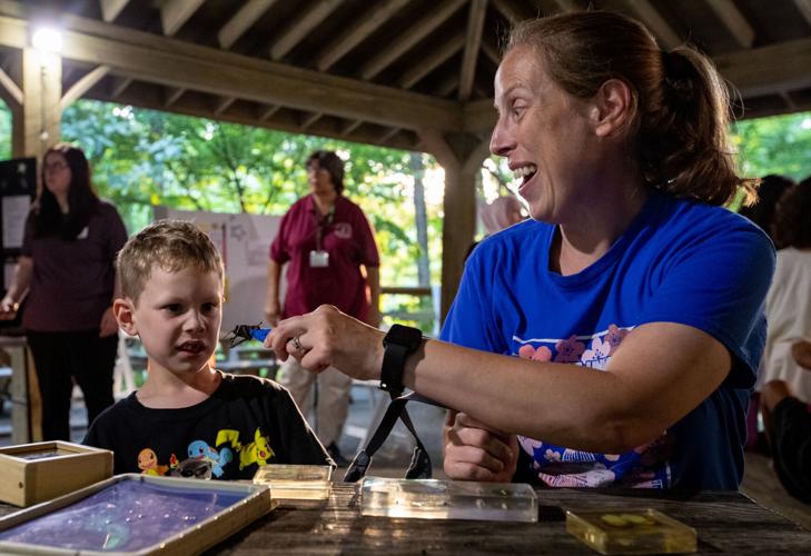 First Night Bug Hunt Shares Importance Of Pollinators | News ...