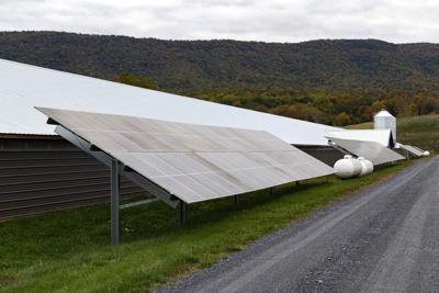 USDA Grant Awarded To Local Organic Poultry Farmer For Solar Panel ...