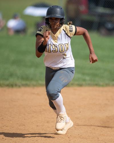 Alger, Talley Guide Bison To Another State Semifinal Appearance ...