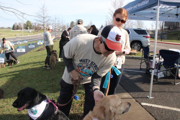 Hundreds have paws-itively fun time at Mutt Strut 5K race to raise ...
