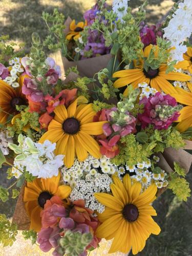 A Blossoming Dream: Meredith Mountain Farm Flourishes in Page County ...