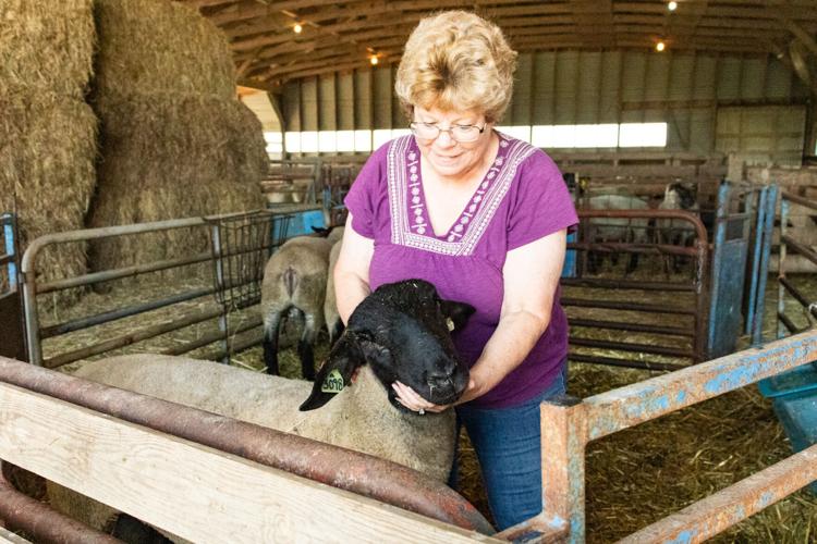 Suffolk Hall Of Fame Inductees Affirm That 'Livestock Changes Lives ...