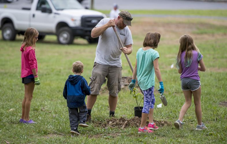 Girl Scouts Plant Trees At Westover Park | Dnronline | dnronline.com
