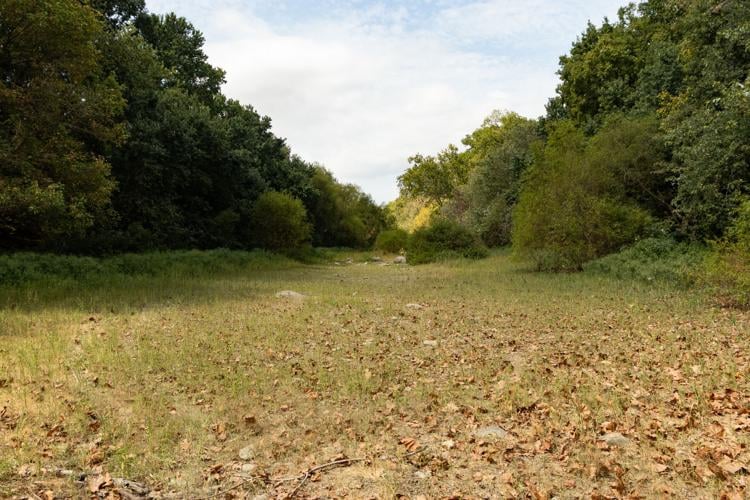 Drought Exposes Old Dam Beneath The South Fork | News | dnronline.com