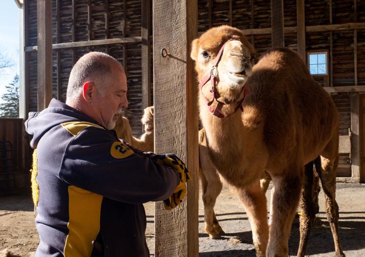 Church Members And Community Prepare For Live Nativity | Dnronline ...