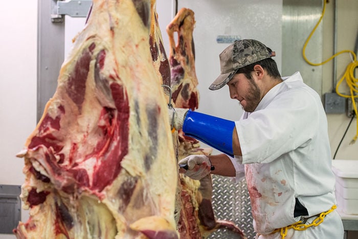 Room To Grow | Harrisonburg | dnronline.com