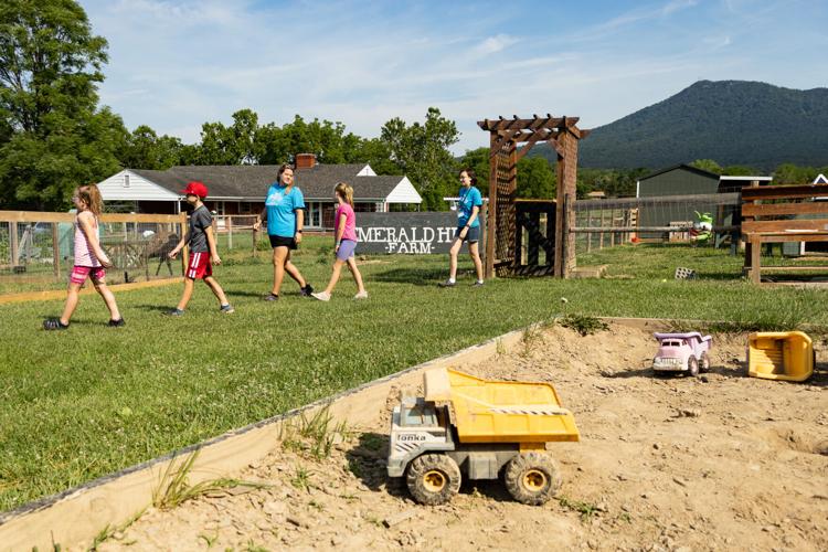 Farmer For The Summer: Kids' Farm Camps Expose Children To Agriculture ...