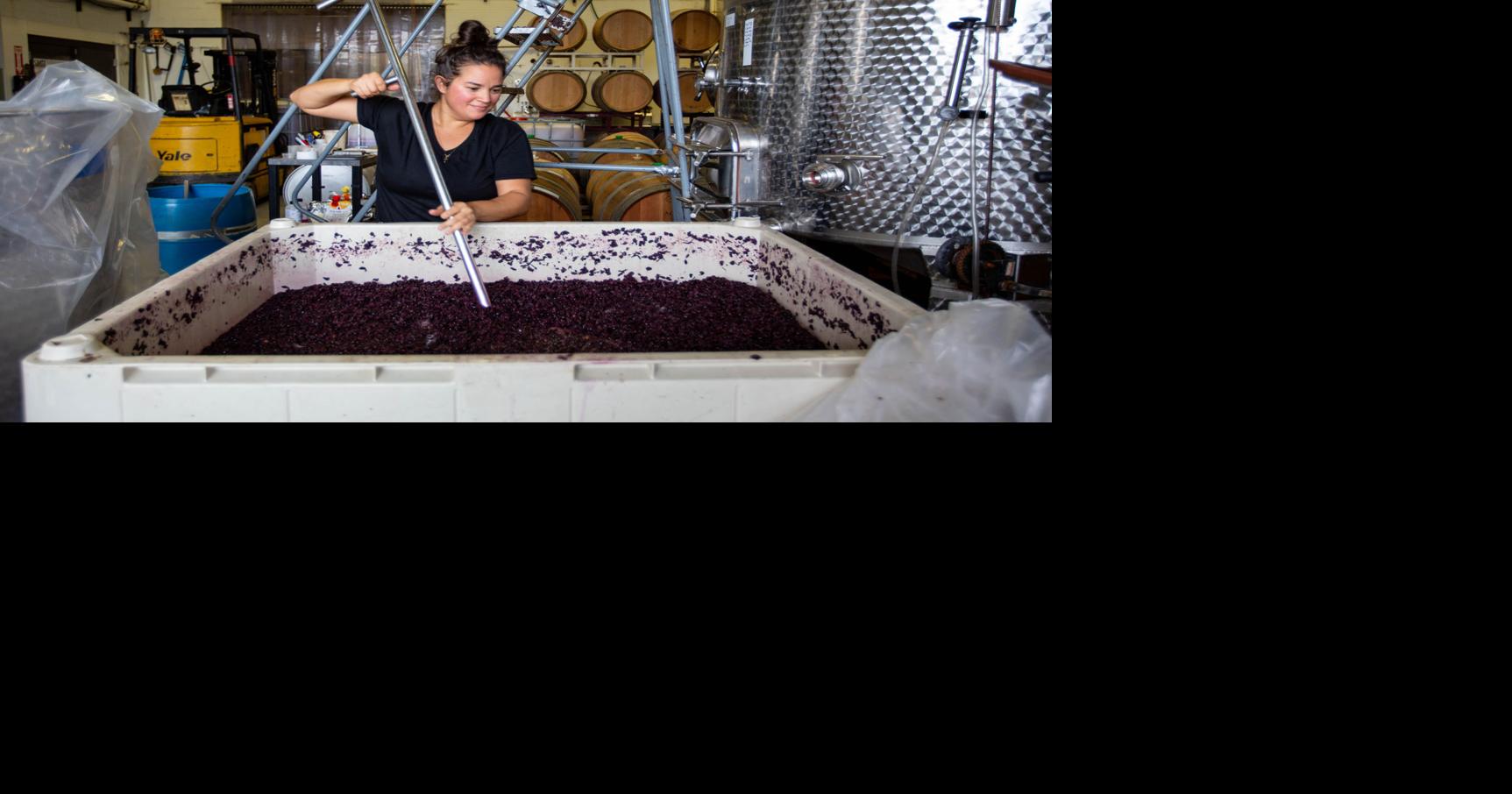 Bluestone Vineyard Celebrating Virginia Wine Month | Food And Drink ...