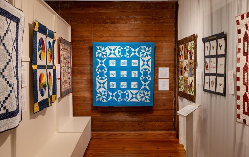 Into the wild: Virginia Quilt Museum features four new exhibits | Arts ...