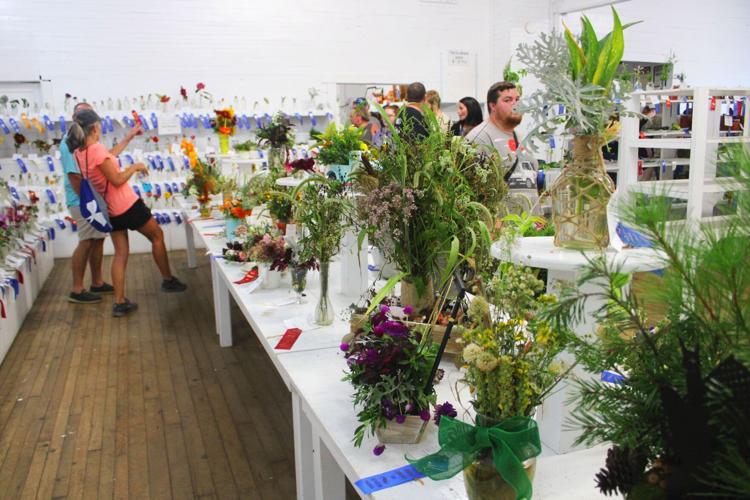 Annual Bergton Fair Attracts Thousands For Family Fun | Dnronline ...