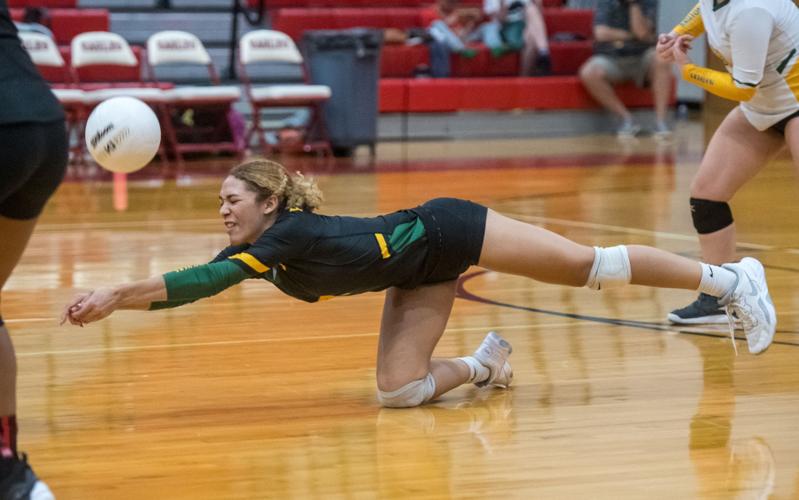 Eagles Sweep Bruton In Class 2 Quarterfinals | Sports | dnronline.com