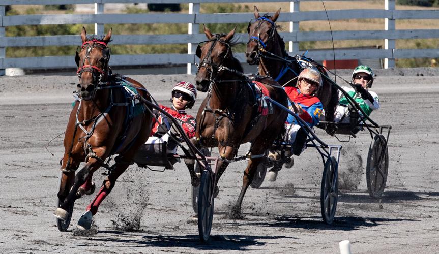 Shenandoah Downs Harness Racing Season Is Underway | e-Edition ...