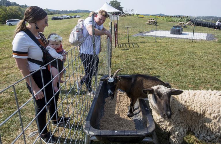 Local Farm Celebrates Season Opening | Dnronline | dnronline.com