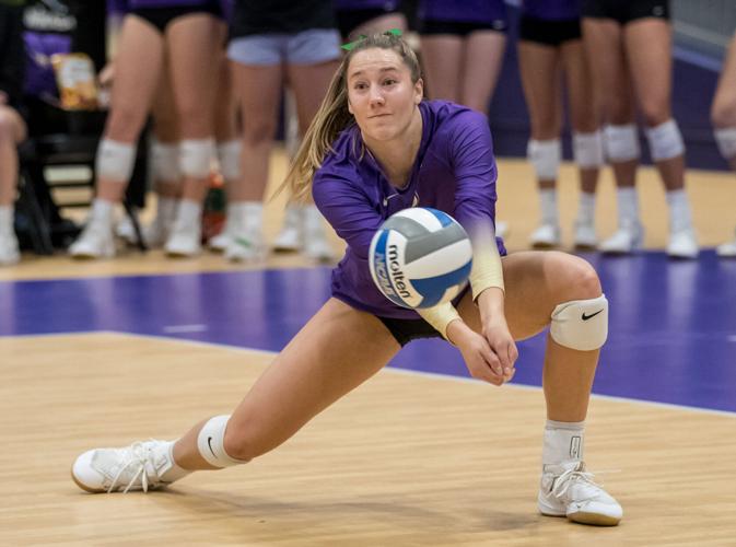 Volleyball: JMU vs. Georgia State | Photo | dnronline.com