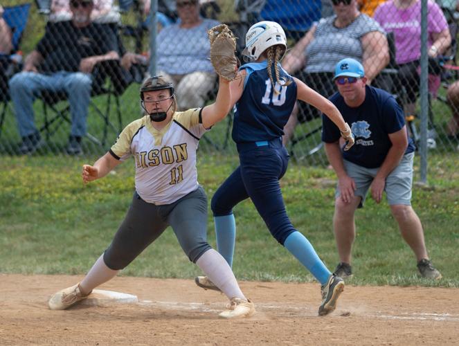 Alger, Talley Guide Bison To Another State Semifinal Appearance ...