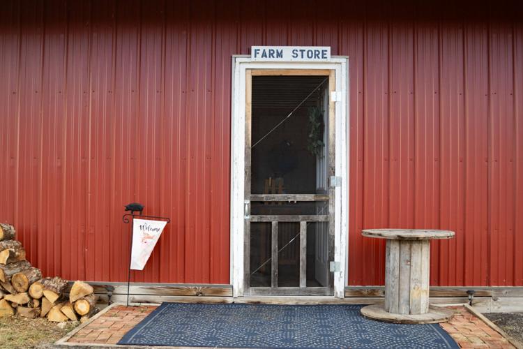 Sweet Magnolia Farm Combines Young Entrepreneurs' Pursuits Of Cows ...