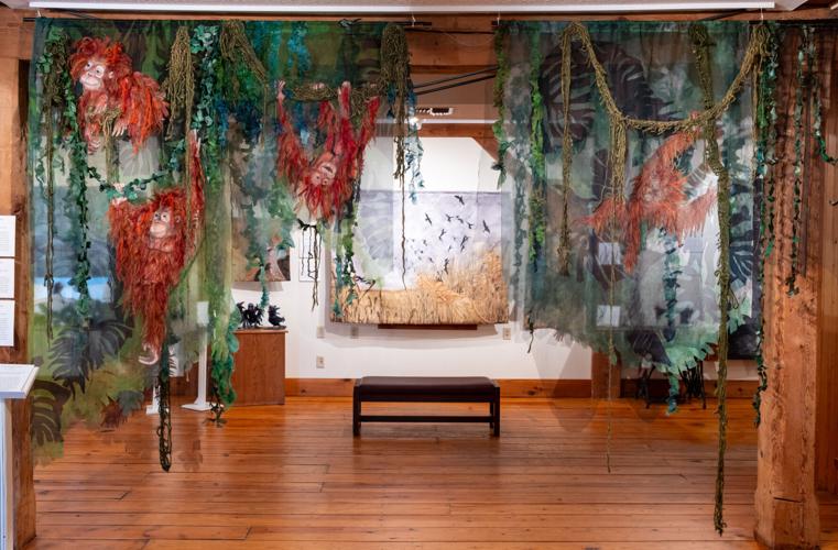 Into the wild: Virginia Quilt Museum features four new exhibits | Arts ...