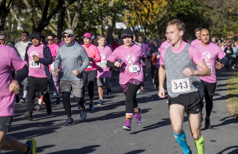 17th Annual Breast Cancer 5K Draws Record Crowd | Dnronline | dnronline.com
