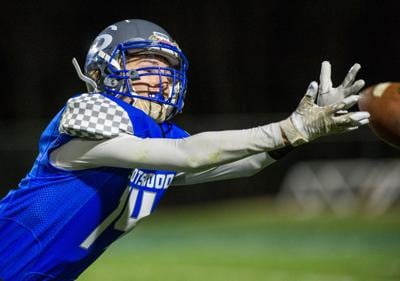 Trailblazers Move Up In Latest VHSL Rankings | Sports | dnronline.com