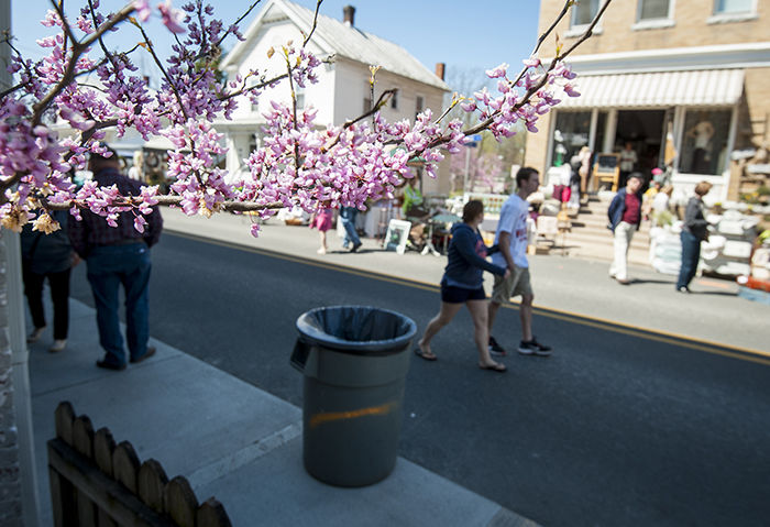 Dayton Redbud Festival Celebrates Community | News | dnronline.com