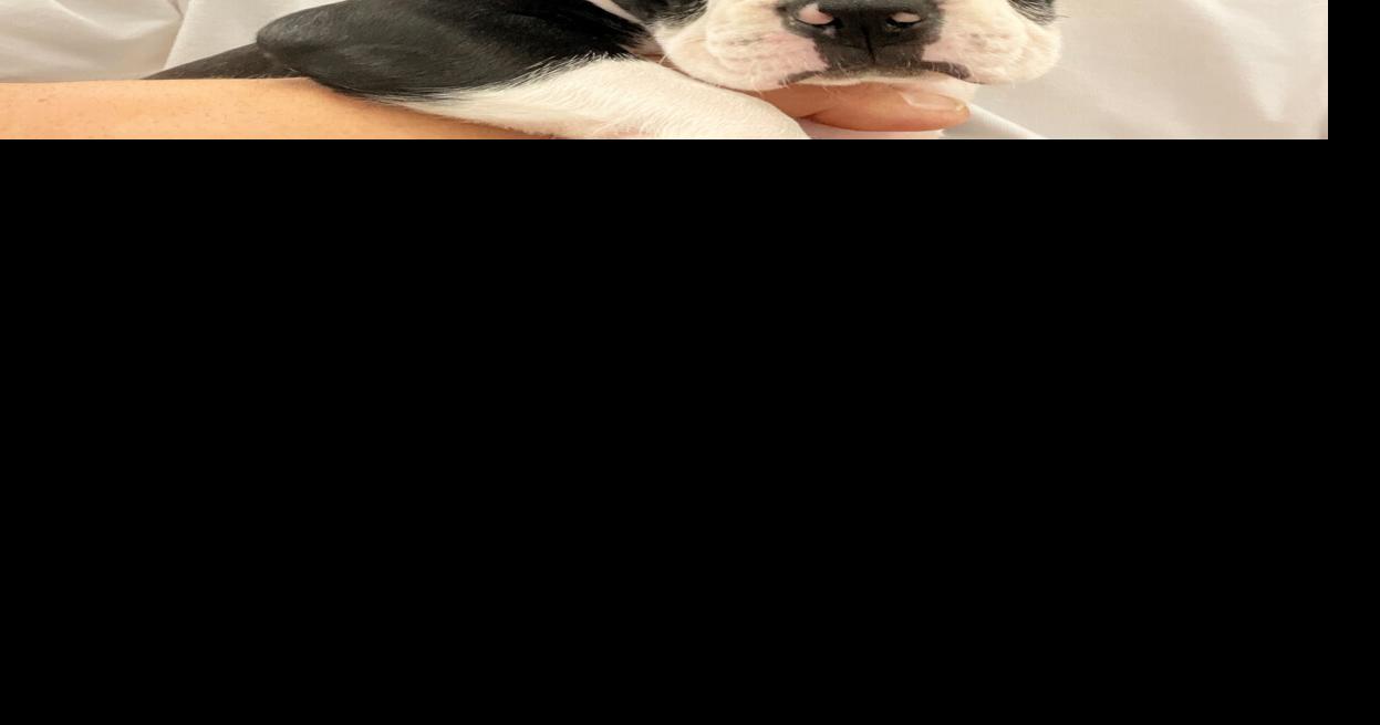 Kasey Zane Crowe | Obituaries | dnronline.com