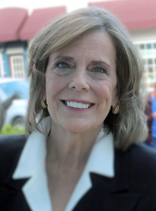 Democrat Emily Scott Again Challenging Del. Todd Gilbert | Elections ...