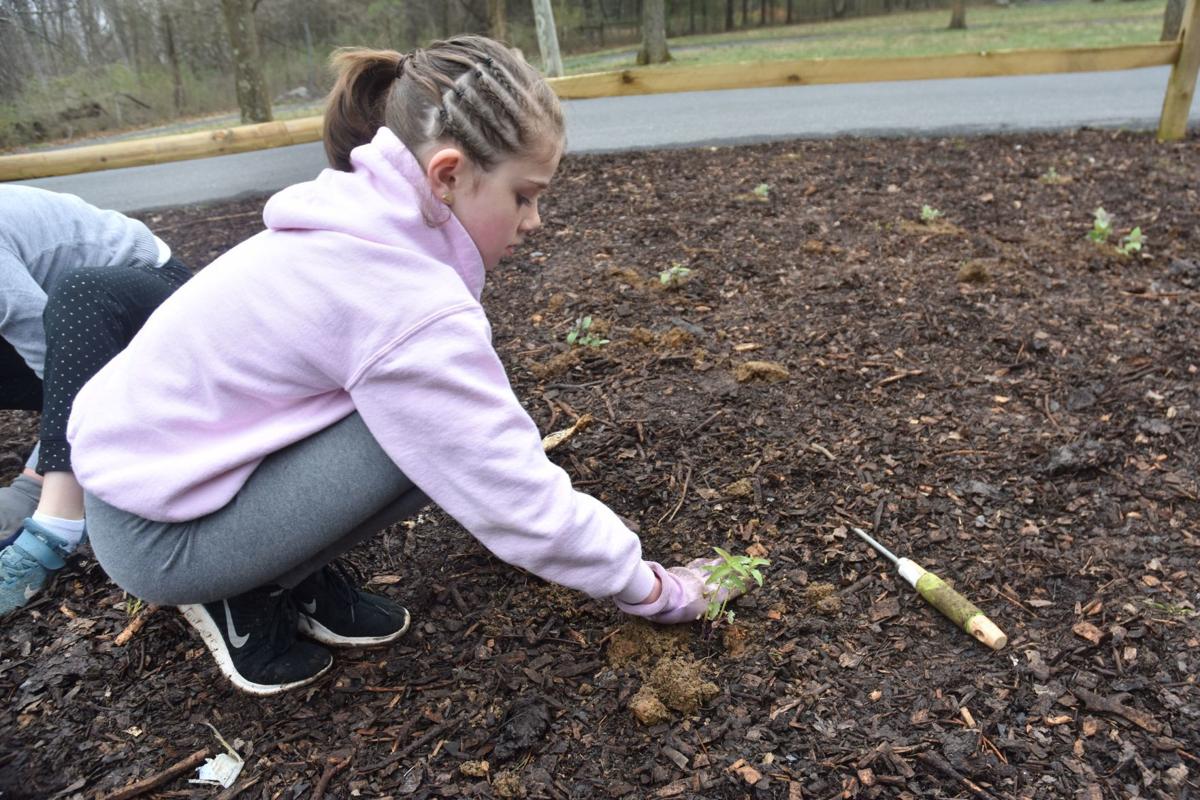 Girl Scouts Plant Pollinator Garden In Hillandale Park | News ...
