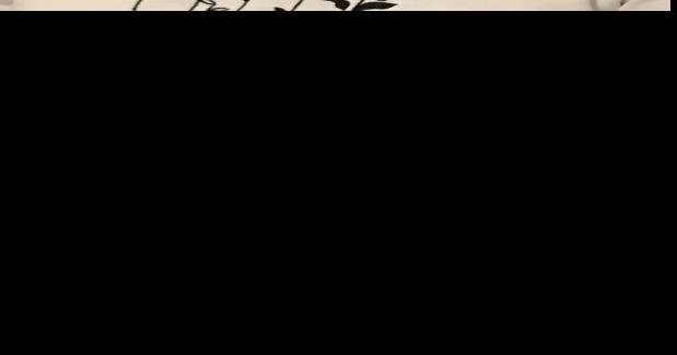 Sandra L. Johnson, 81 | Obituaries | doniphanherald.com